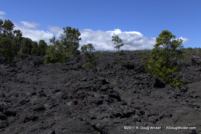 Port 1 Hilo — Lua Manu Crater | R. Doug Wicker — Author