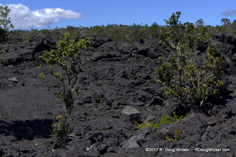 Port 1 Hilo — Lua Manu Crater | R. Doug Wicker — Author