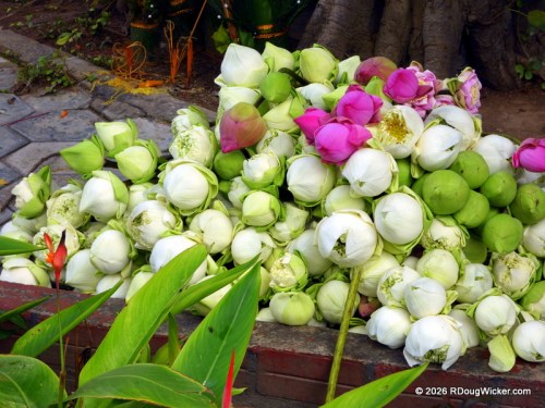 Siem Reap — Touring Wat Preah Prom Rath | R. Doug Wicker — Author